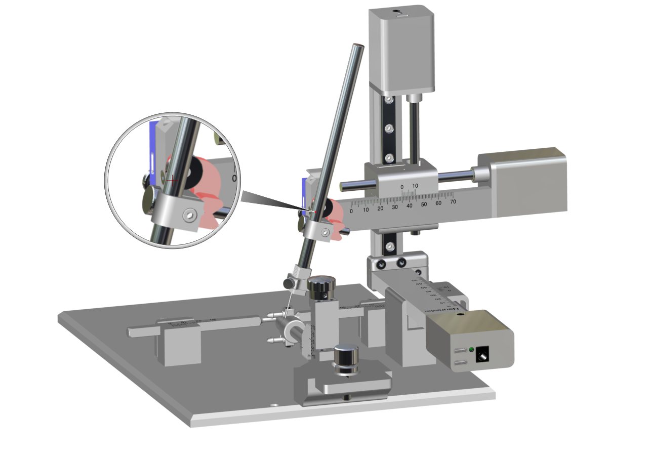 Neurostar-Neurosolutions for the future – Neuroscience, Robot ...